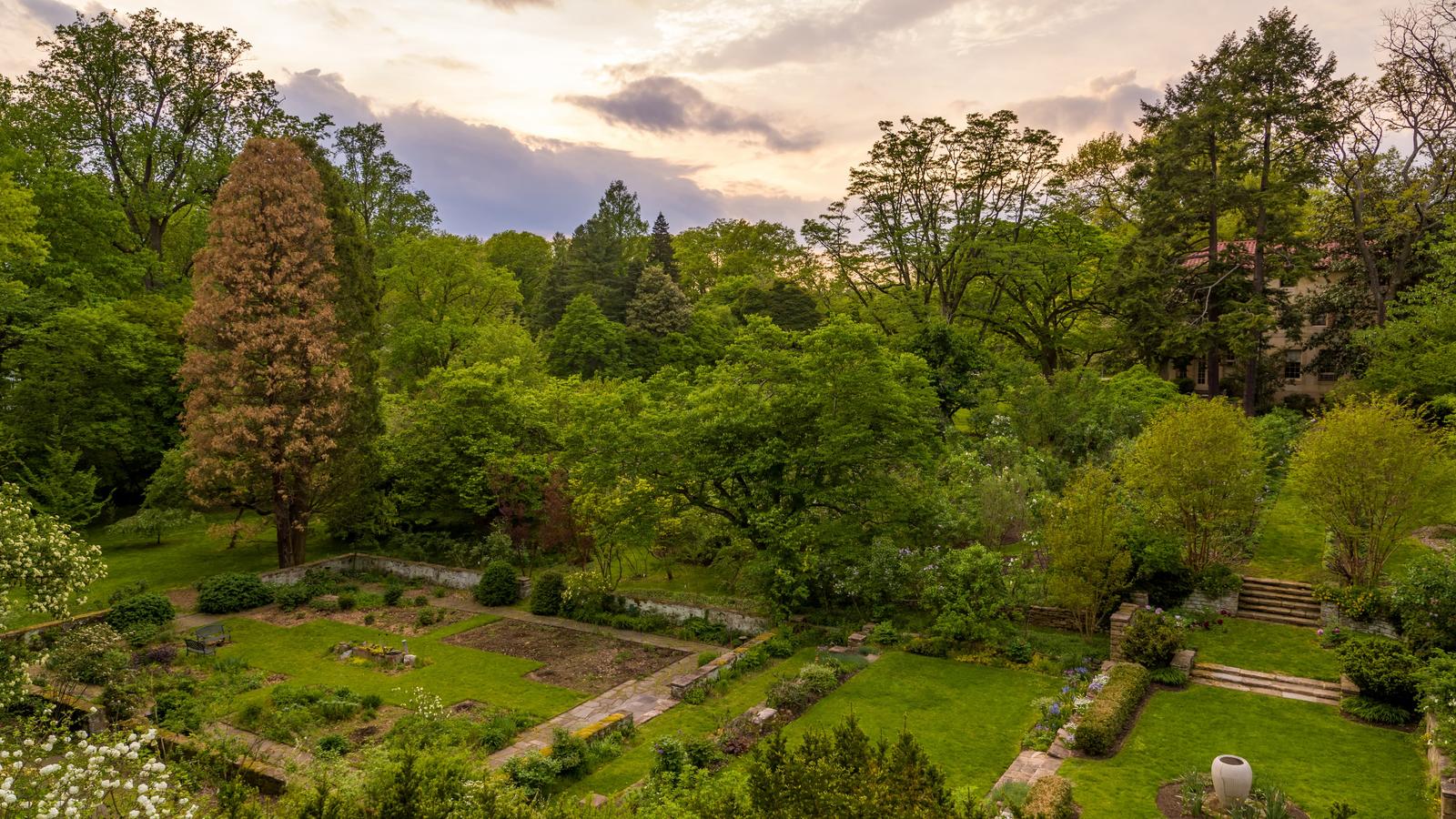 Undergraduate Studies Climate Change Through Greenery and Greenhouse ...
