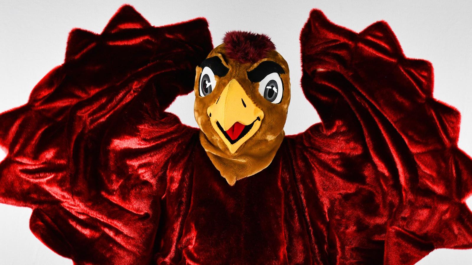 College Athletics' Hardest-Working Mascot — Saint Joseph's Hawk — Is Getting a New Look | Saint ...