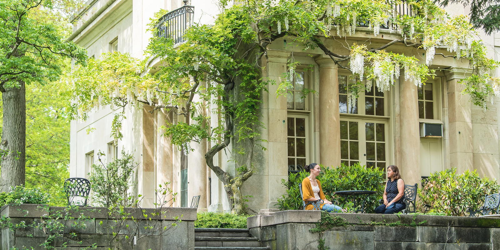 Saint Joseph's University