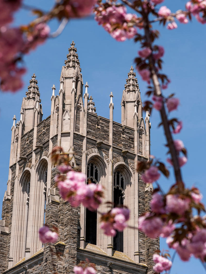 Jordan Finkelstein | Saint Joseph's University