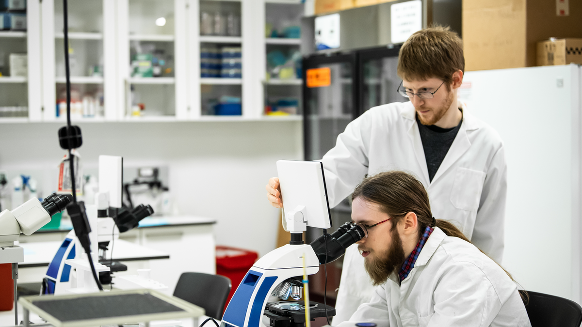 Newsroom | Saint Joseph's University