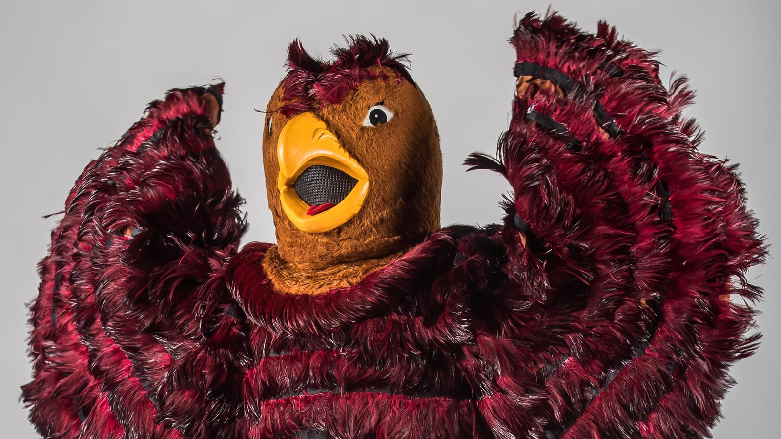 Division I Athletics | Saint Joseph's University