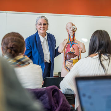 Doctor of Education in Healthcare Education (EdD) | Saint Joseph’s ...