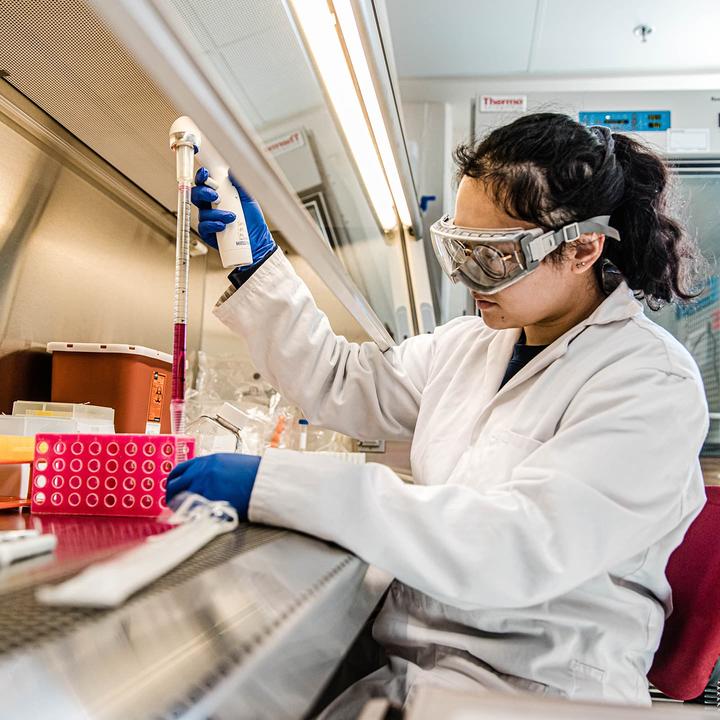 Medical Lab Science Major | Saint Joseph's University