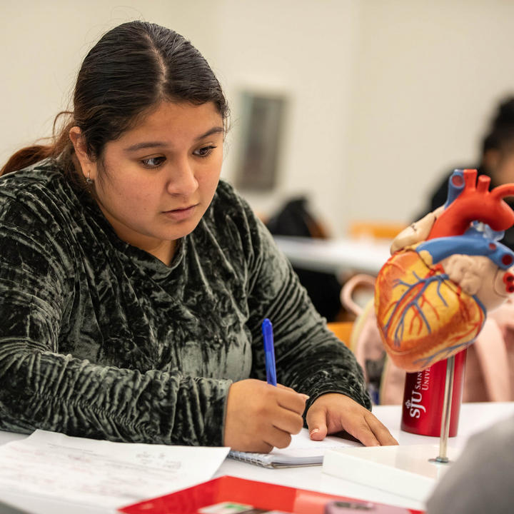 Department of Allied Health | Saint Joseph's University Department of Allied Health | Saint Joseph's University