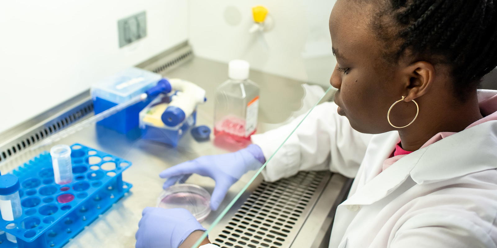 School of Health Professions Academics | Saint Joseph's University