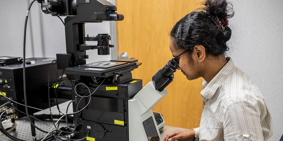 Physics Department | Saint Joseph's University